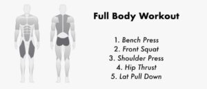 Best Tonal Workouts For Fat Loss And Muscle Mass